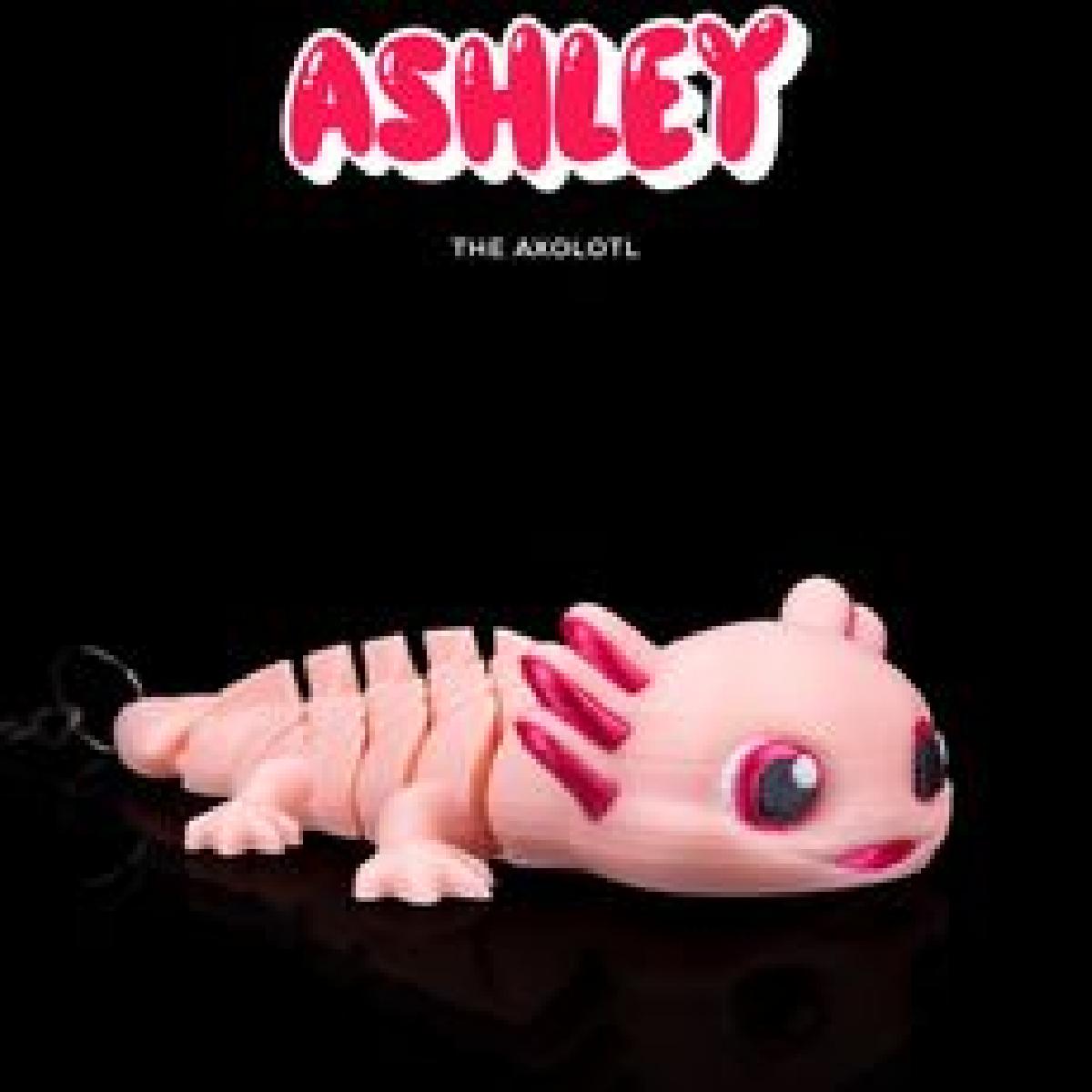 Imprimir STL Ashley, o Axolote Modelo 3D - 512546