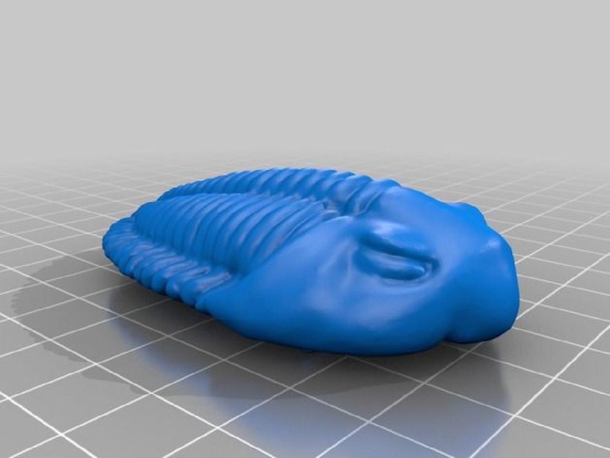Imprimir STL Trilobite Classe K Modelo 3D - 472894